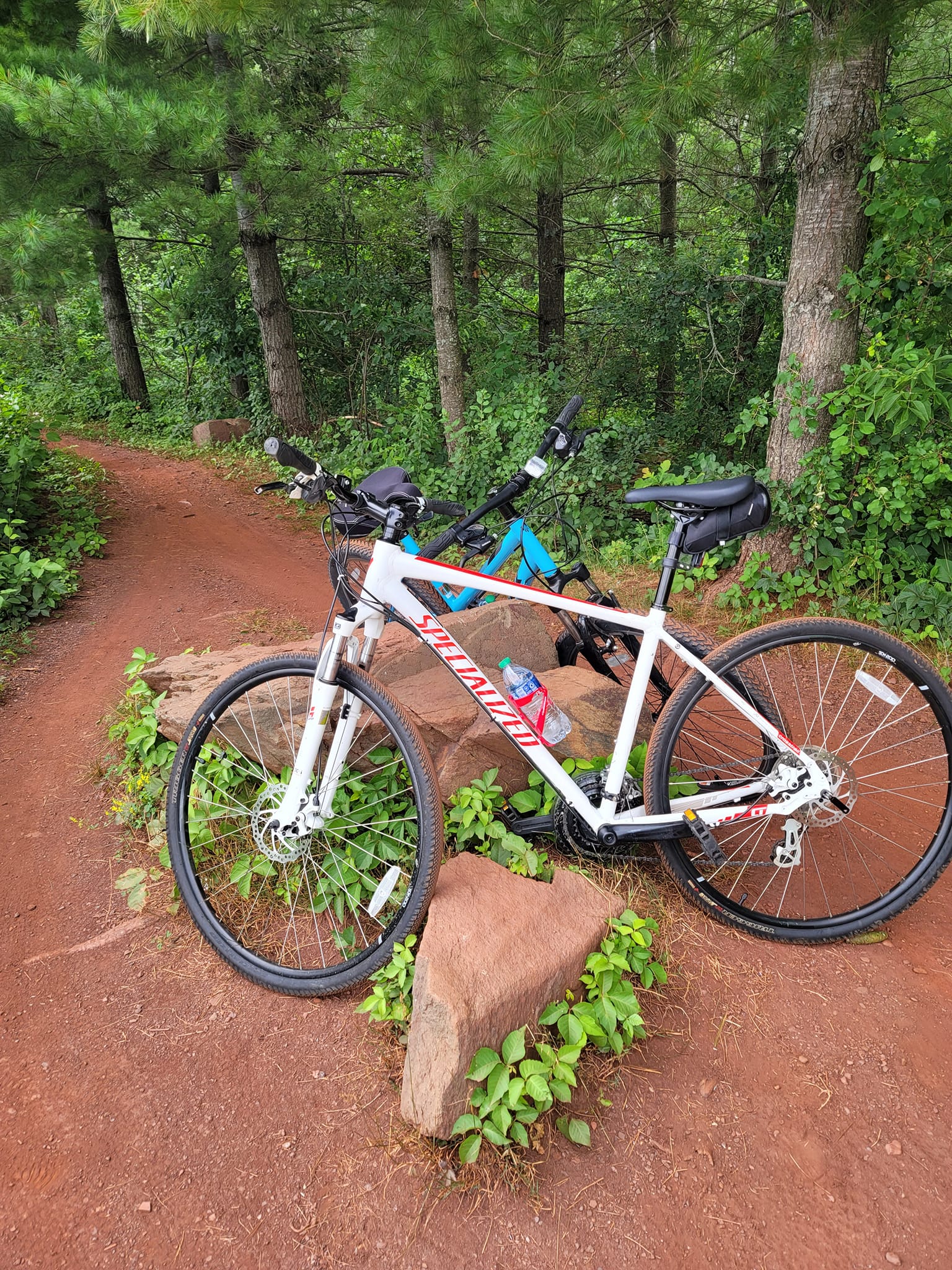 AREA FUN - Things to Do Near Lake Emily Resort